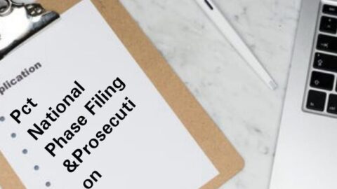 PCT National Phase Application - Delhi IP