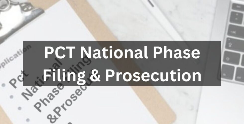 PCT National Phase Application | Patent Cooperation Treaty | Delhi IP