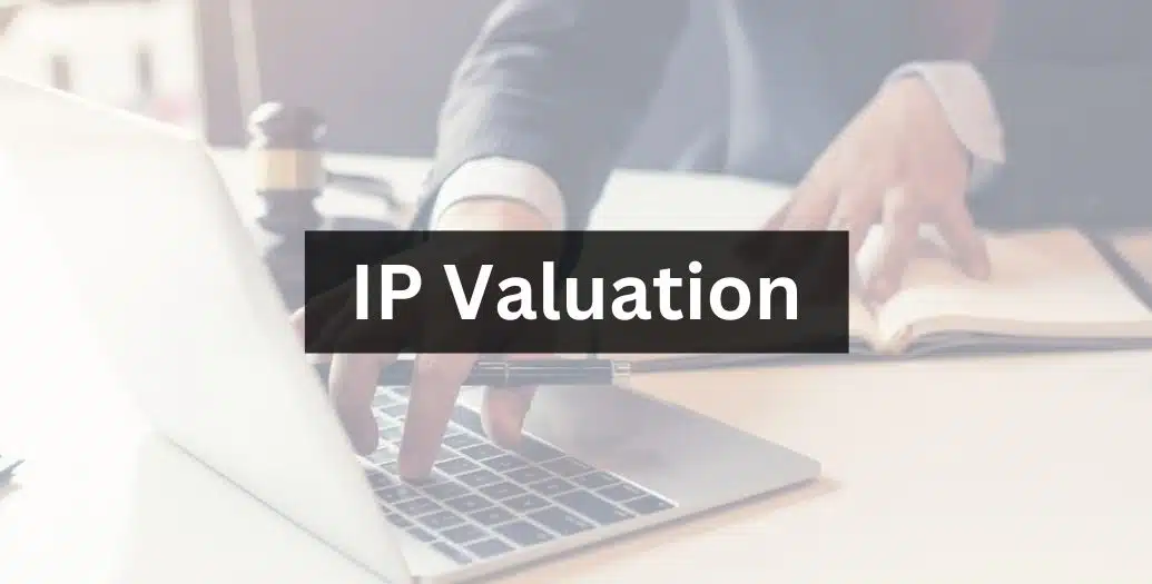 IP Valuation - Delhi IP